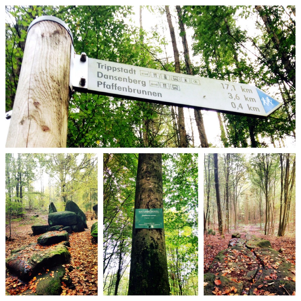 Hike to Humberg Tower offers nature, adventure - Travel, Events ...