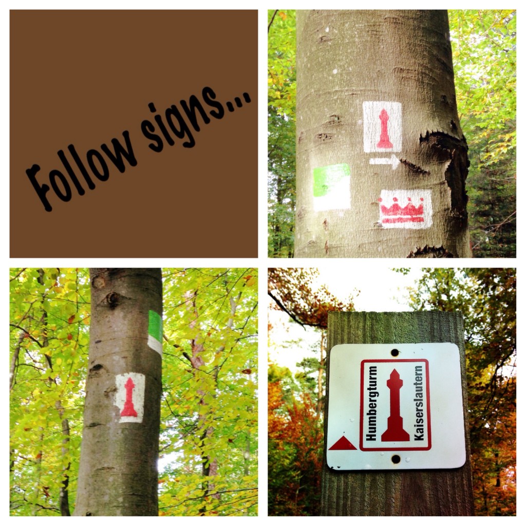 Hike to Humberg Tower offers nature, adventure - Travel, Events ...