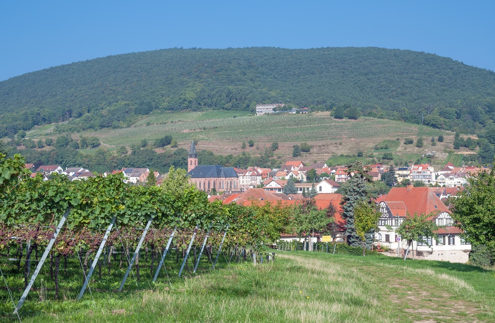 St. Martin - Picturesque little Village on the Wine Road - Travel ...