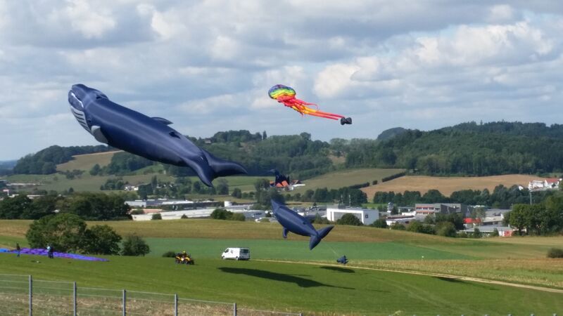 Let's Go Fly a Kite! - Travel, Events & Culture Tips for Americans ...