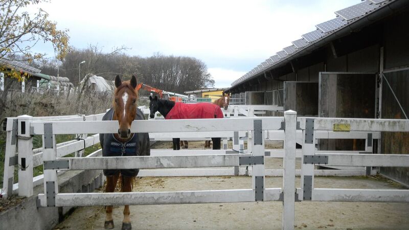 Der Pferdestall (Horse Stable) and Saloon - Travel, Events & Culture ...