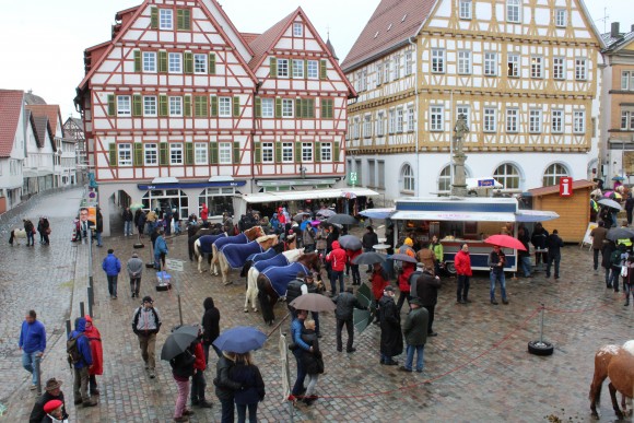 Leonberg's Horse Market, Parades and More - Travel, Events & Culture ...