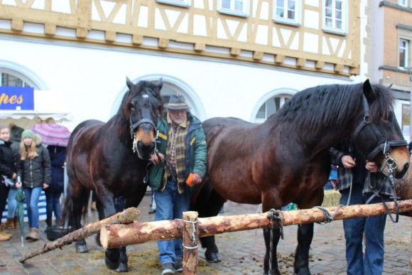 Leonberg's Horse Market, Parades and More - Travel, Events & Culture ...