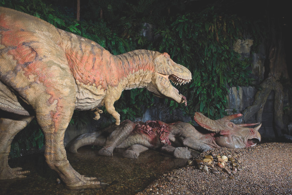 Become an Adventurer at Gondwana Prähistorium - Travel, Events ...