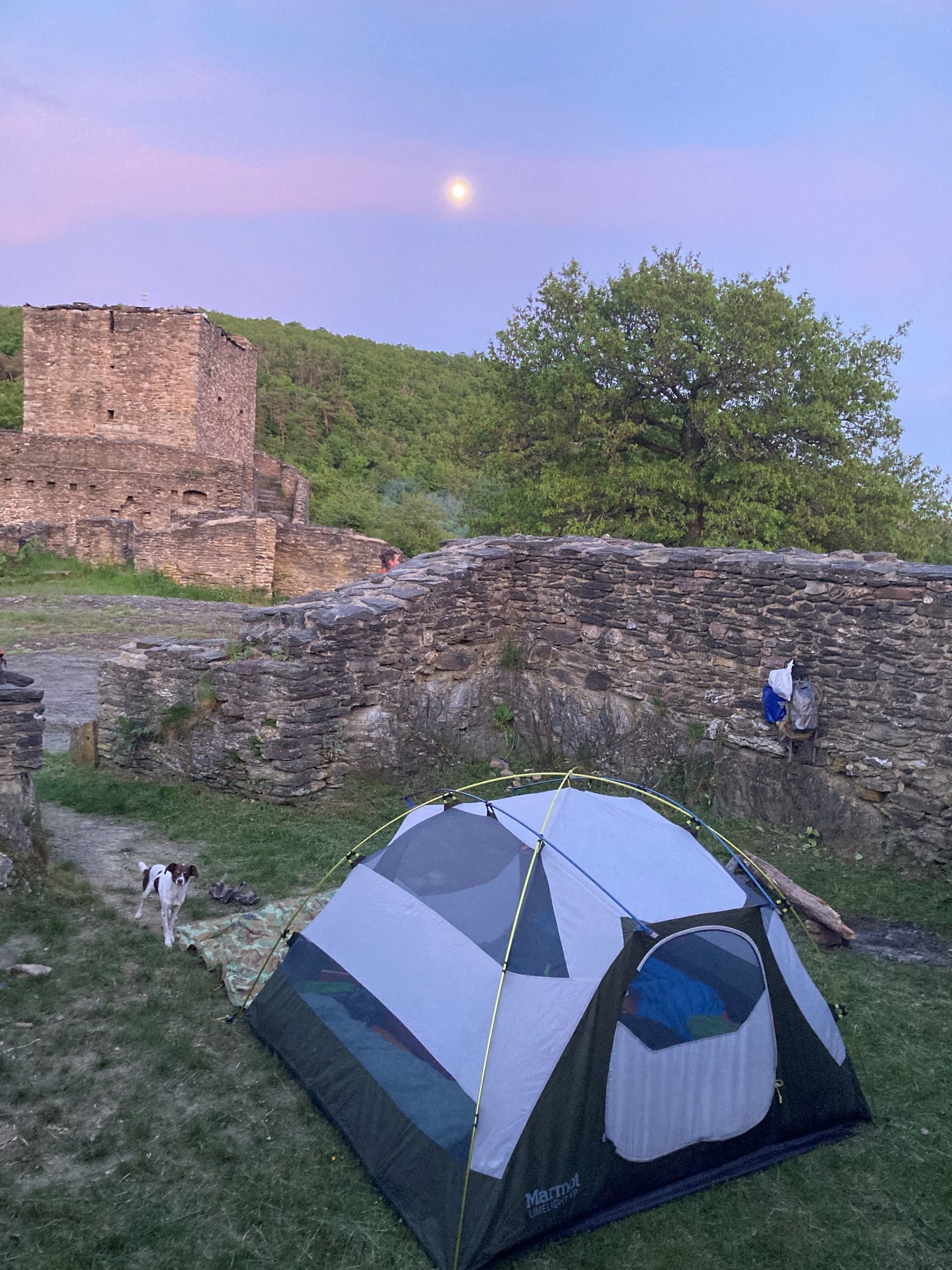 Camp in a Castle