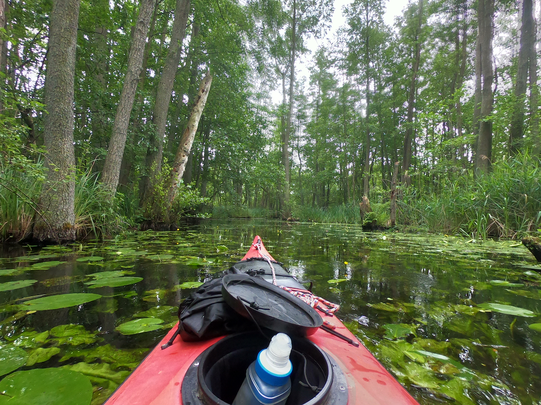 Germany’s National Parks: Müritz National Park - Travel, Events ...