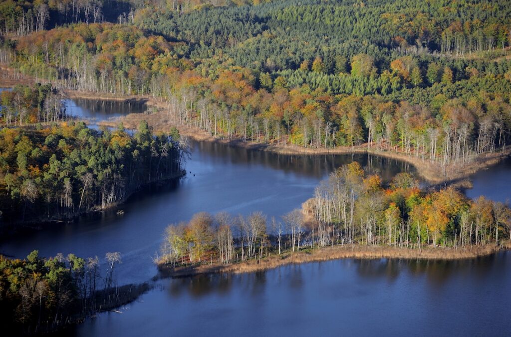 Germany’s National Parks: Müritz National Park - Travel, Events ...