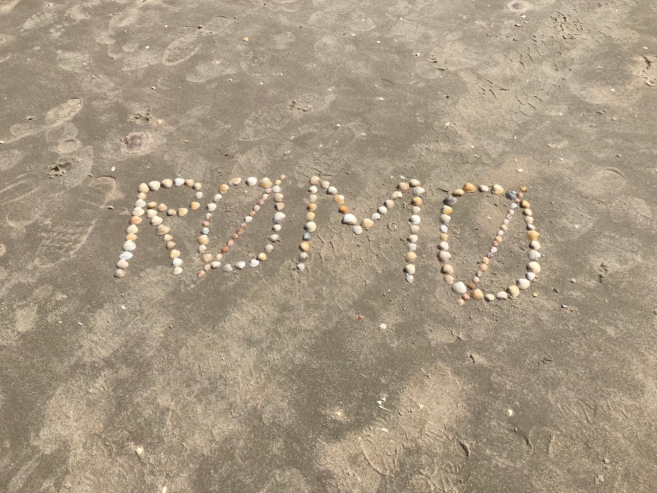 Germany’s National Parks: Schleswig-Holstein Wadden Sea National Park ...