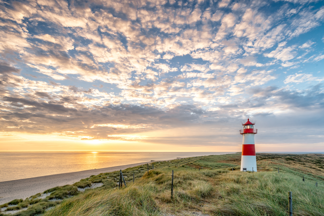 Germany’s National Parks: Schleswig-Holstein Wadden Sea National Park ...