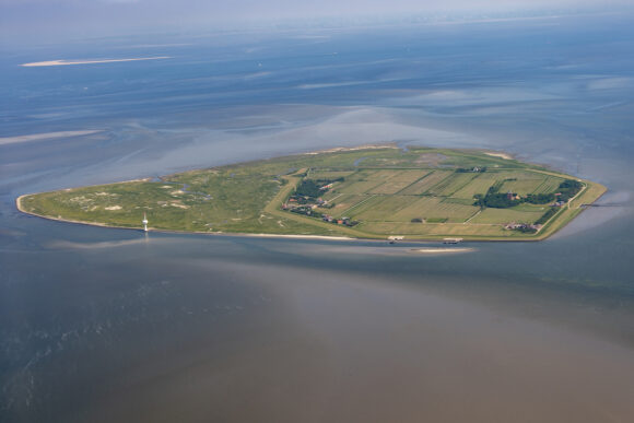 Germany’s National Parks: Hamburg Wadden Sea National Park - Travel ...